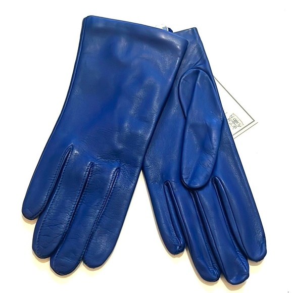 Fownes Brothers | Accessories | Fownes Brothers Electric Blue Leather ...